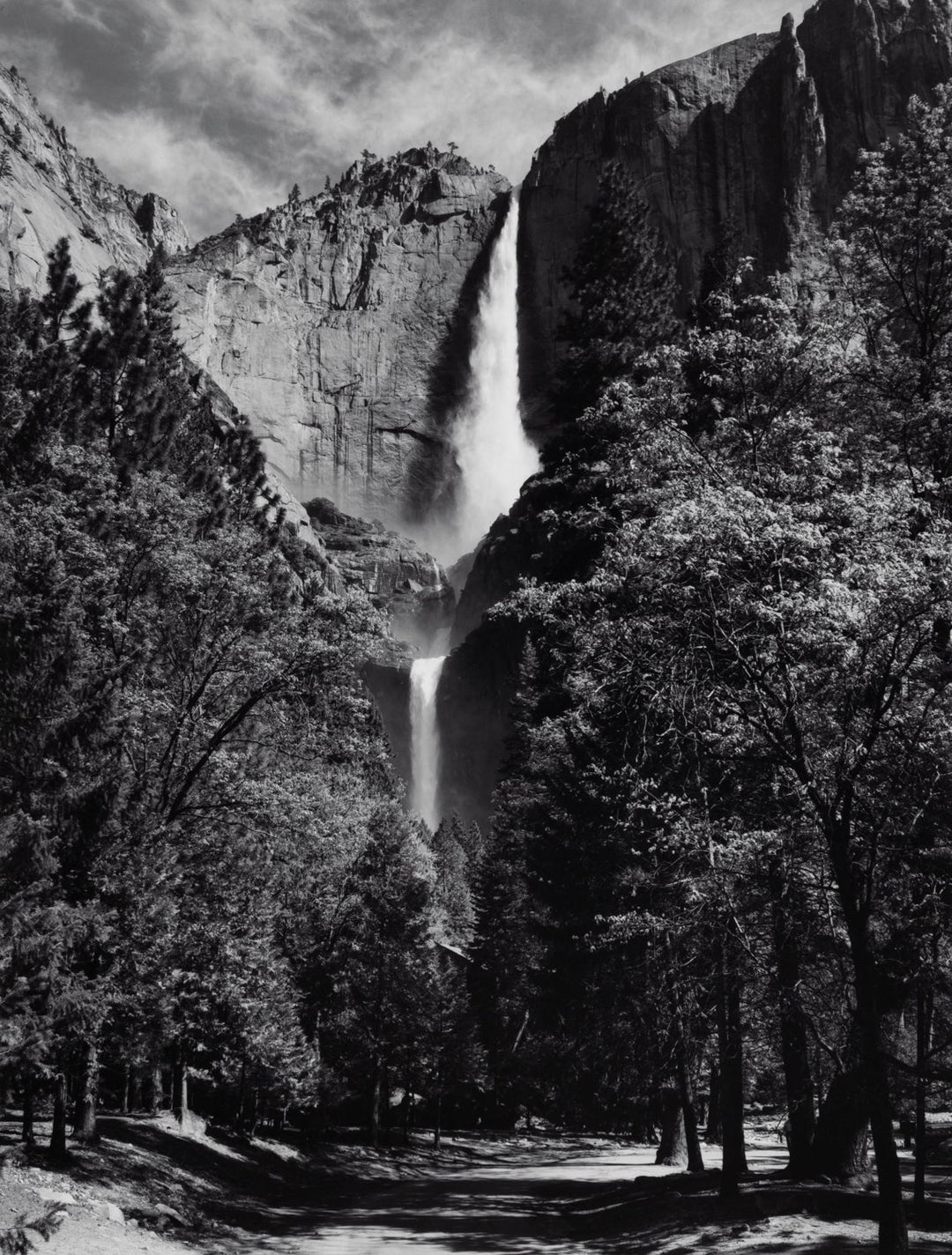 Shop – The Ansel Adams Gallery