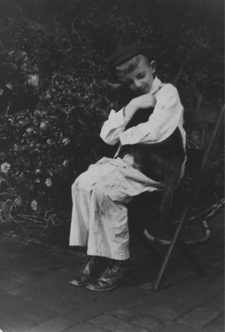 Ansel Adams Legacy – The Ansel Adams Gallery
