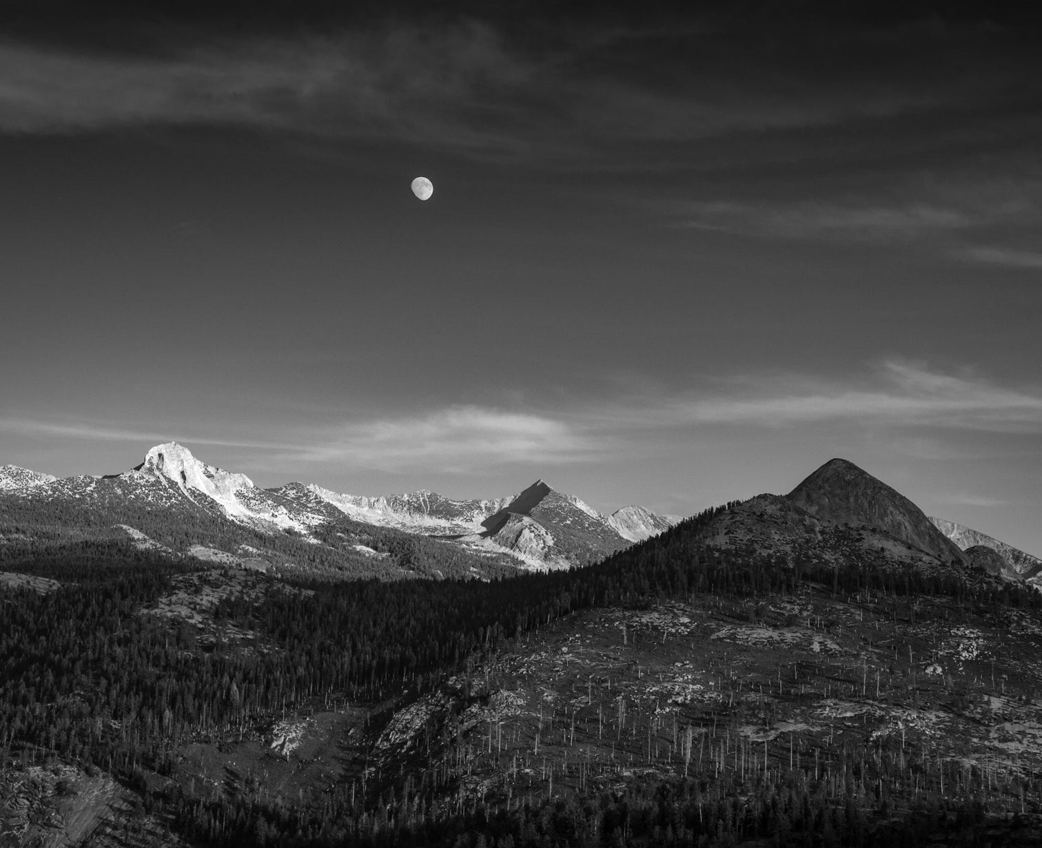 Alan Ross – The Ansel Adams Gallery