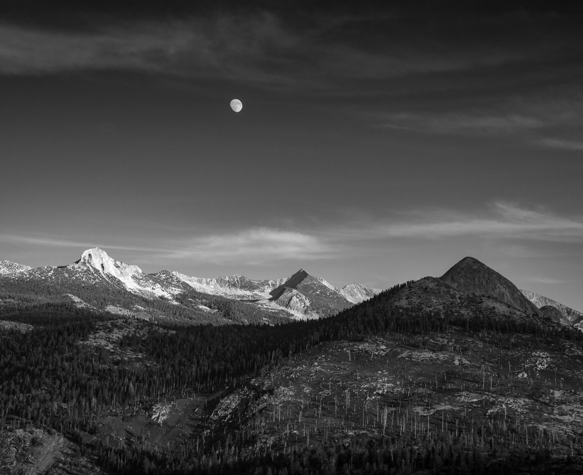 Alan Ross – The Ansel Adams Gallery
