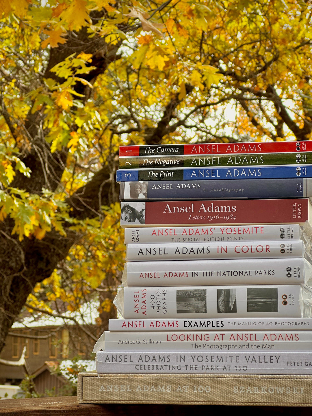 Ansel Adams' Yosemite: The Special Edition Prints – The Ansel Adams Gallery