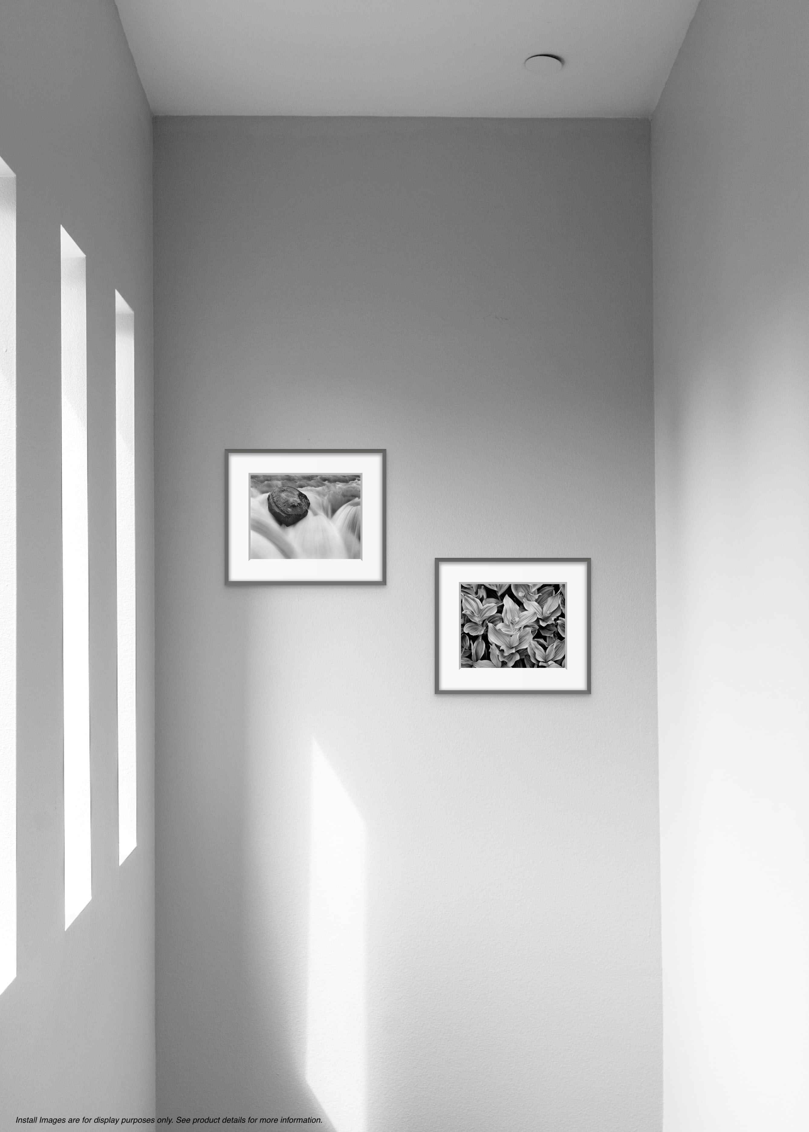 John Sexton Photography - Black & White Landscape Prints - AAG – The ...