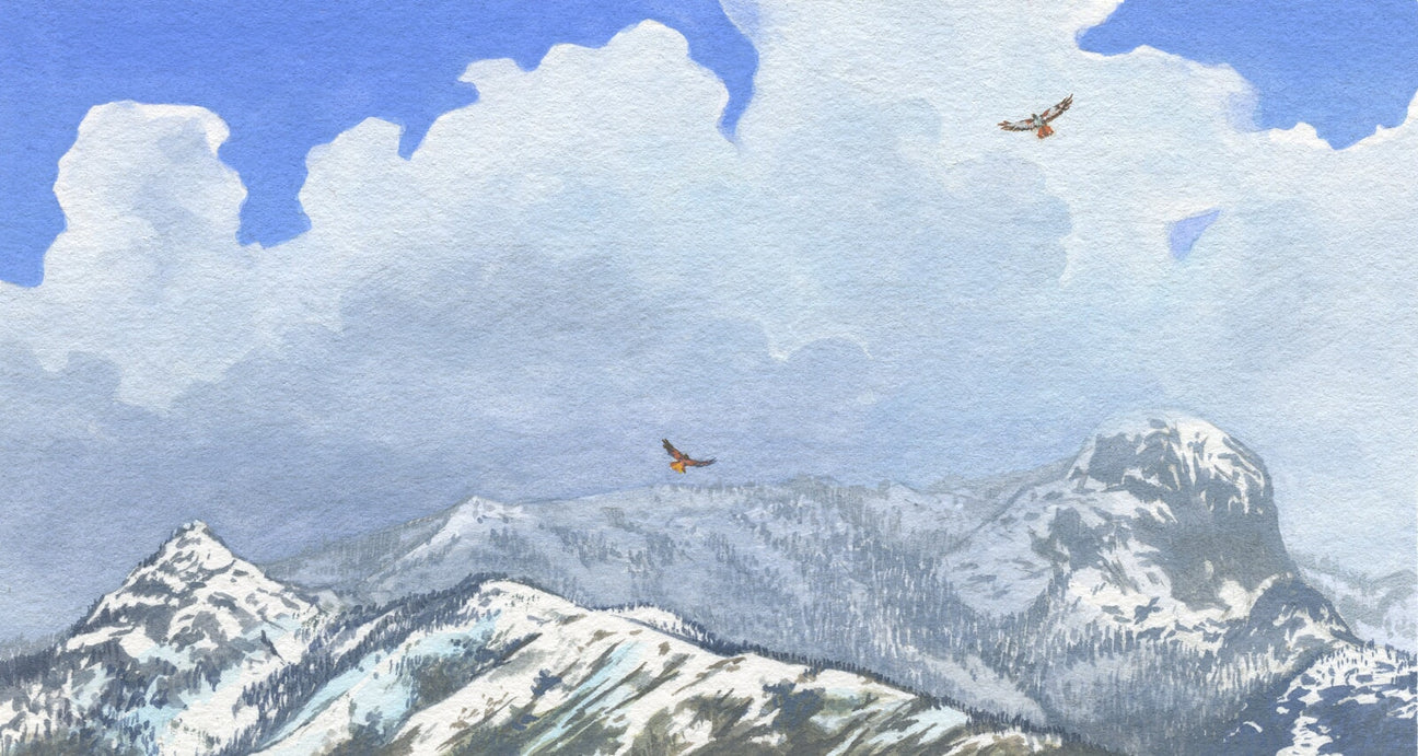 Descending storm, ascending hawks by MaryEllen Hackett – The Ansel ...