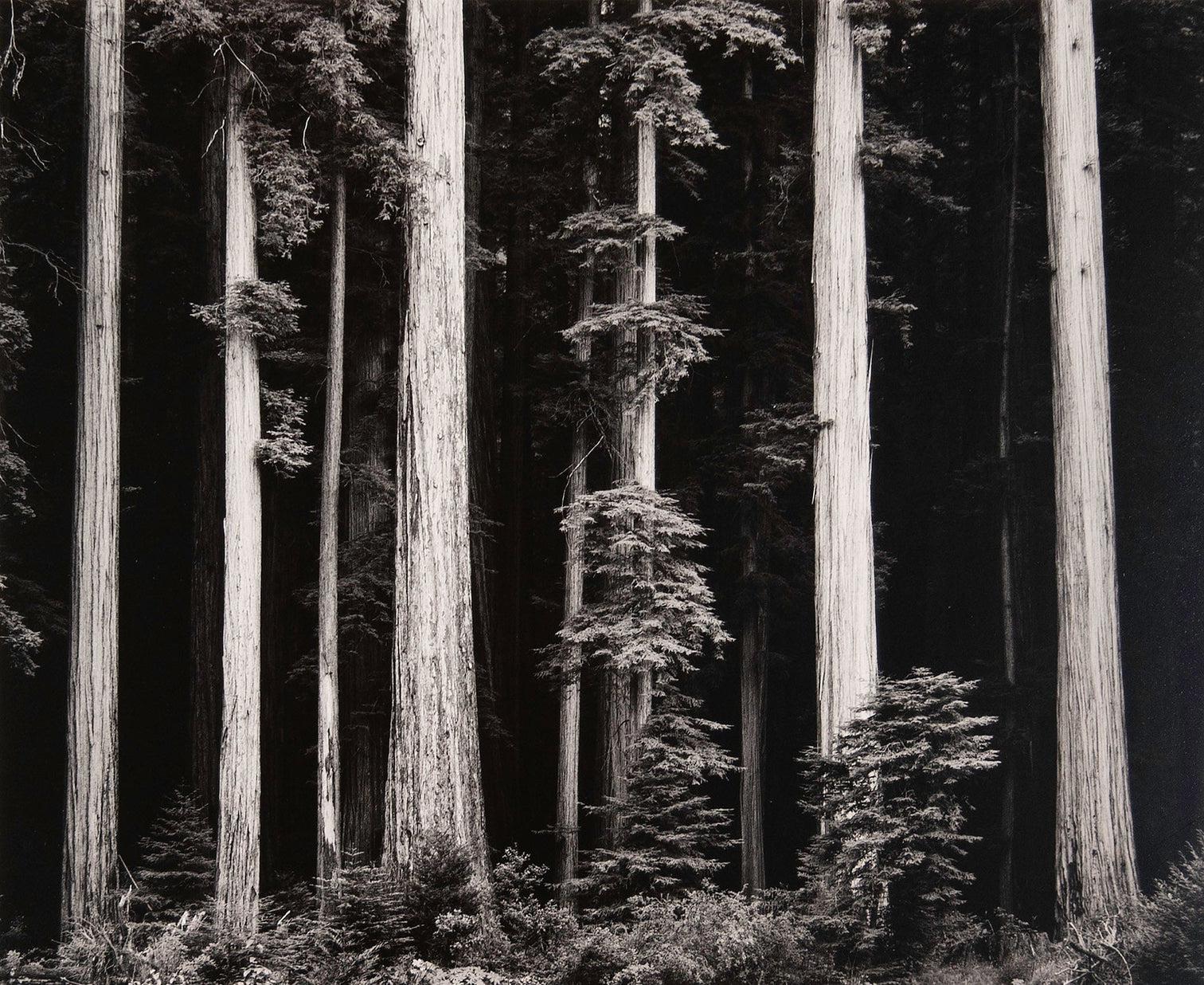 Explore Ansel Adams Photographs – The Ansel Adams Gallery