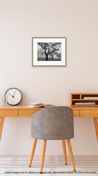 John Sexton Photography - Black & White Landscape Prints - AAG – The ...