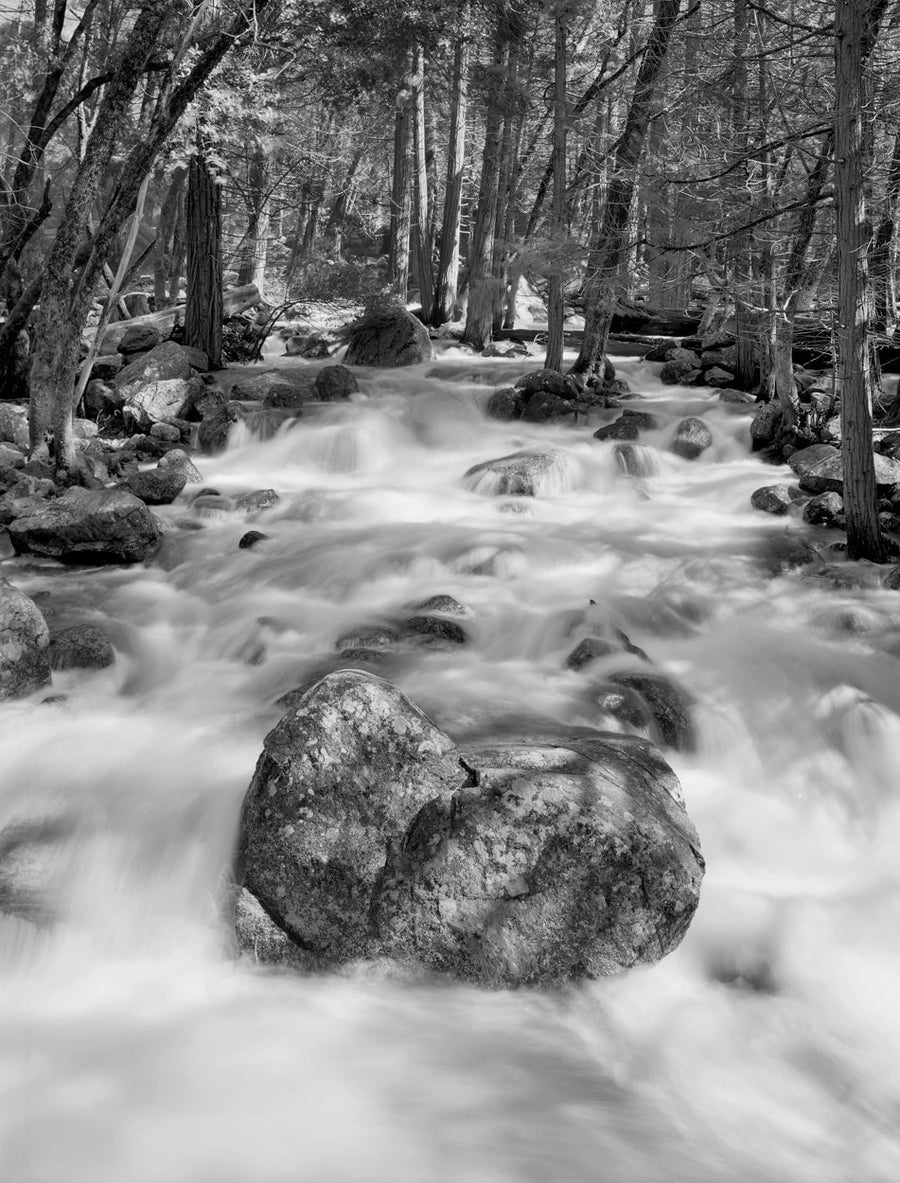 Alan Ross – The Ansel Adams Gallery