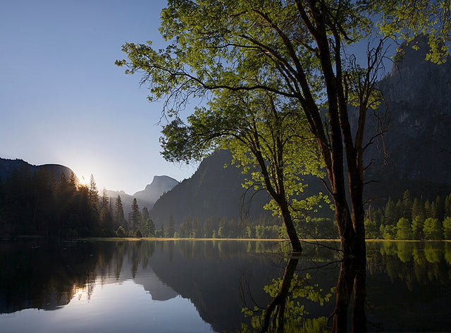 Michael Frye – The Ansel Adams Gallery