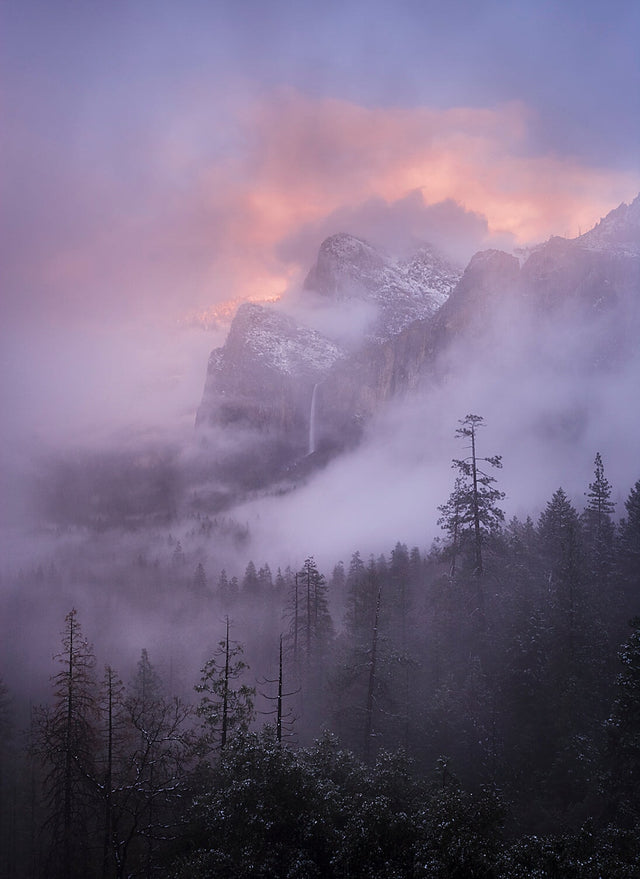 Michael Frye – The Ansel Adams Gallery
